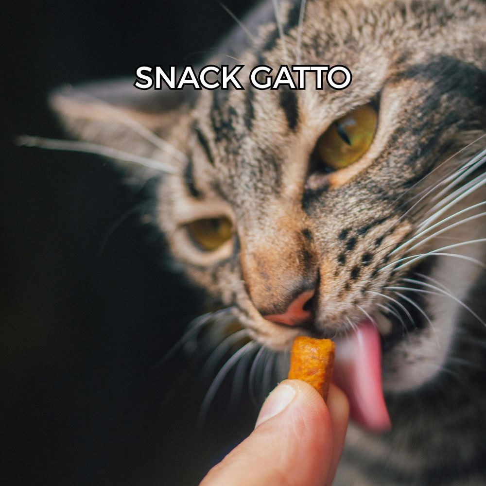 Snack Gatto - ordina online sul sito di Respet Shop